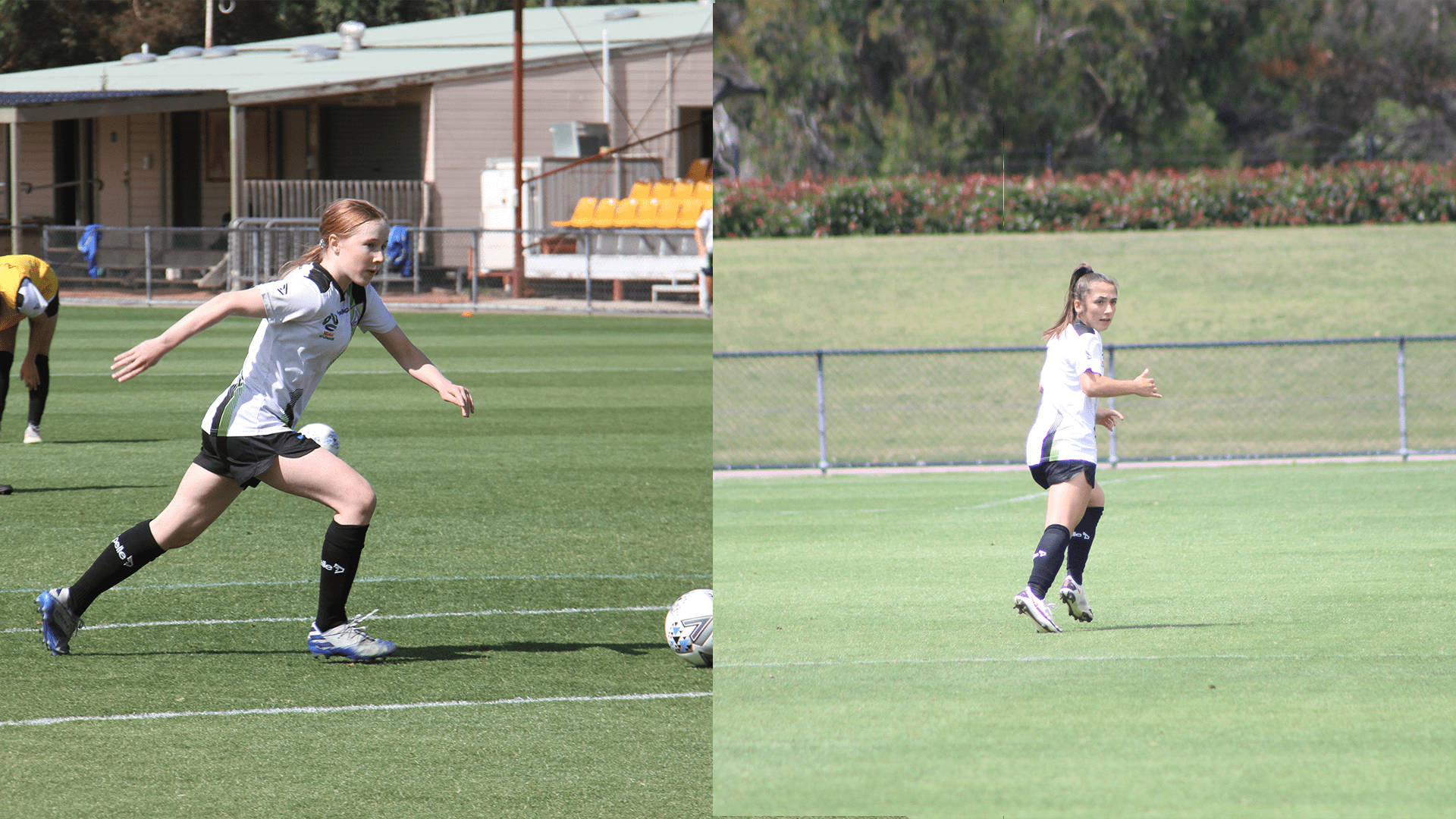 Local duo elevated to playing squad - Canberra United